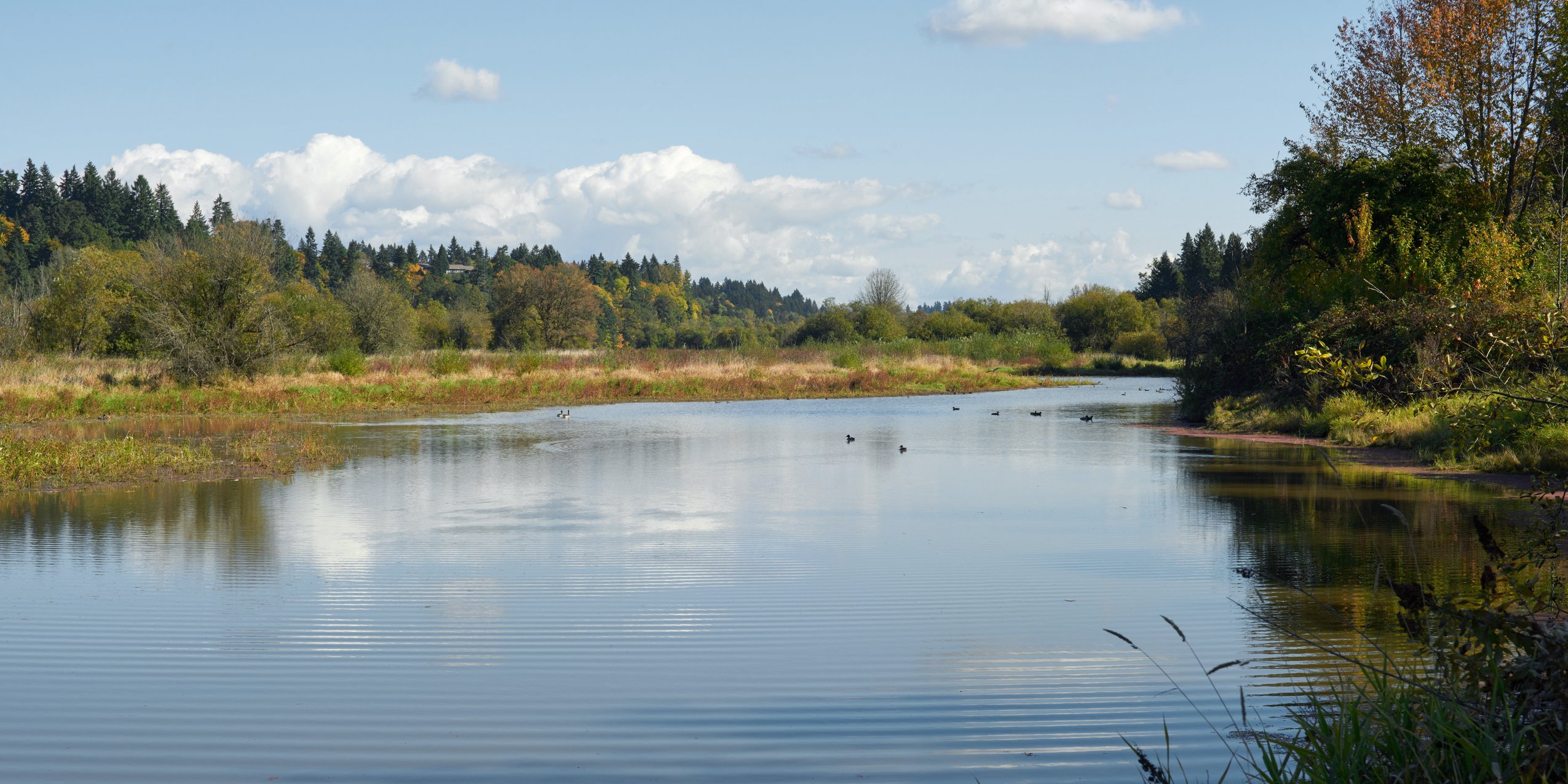 Top 10 Things to Do in Ridgefield, WA: Your Ultimate Guide