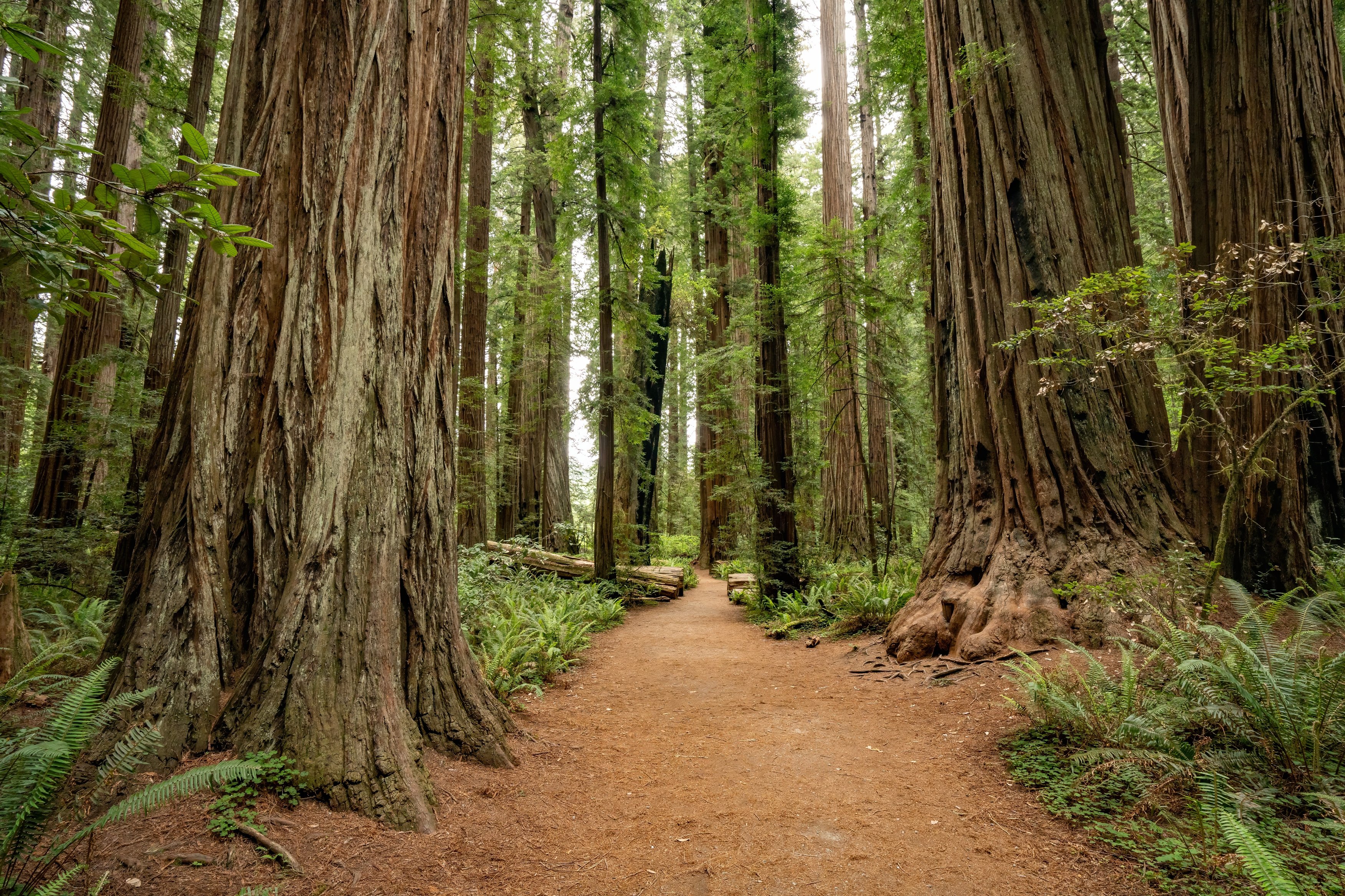 Things to Do in Bonney Lake, Washington